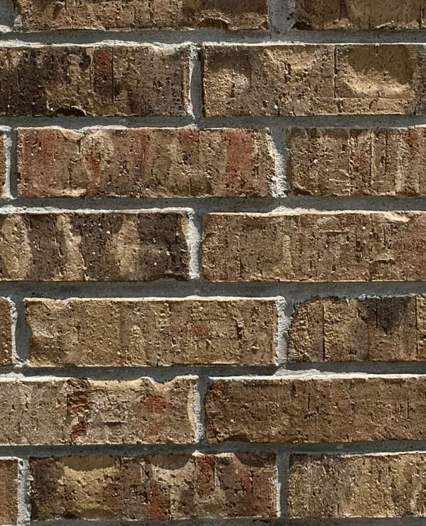Bricks – Trinity Brick